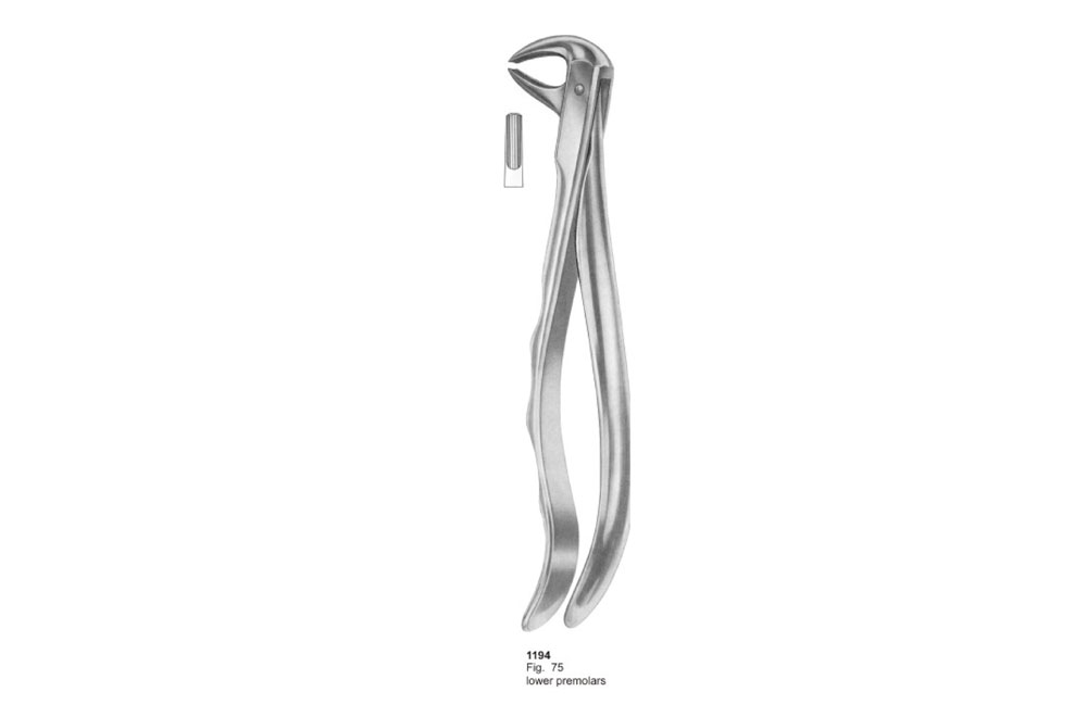 Extracting Forceps – MHS World Instruments